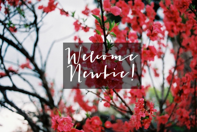 welcome-newbie - Future Current